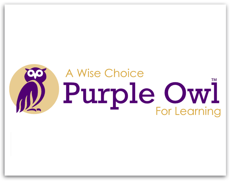 Purple Owl Logo | Merkley Marketing Group